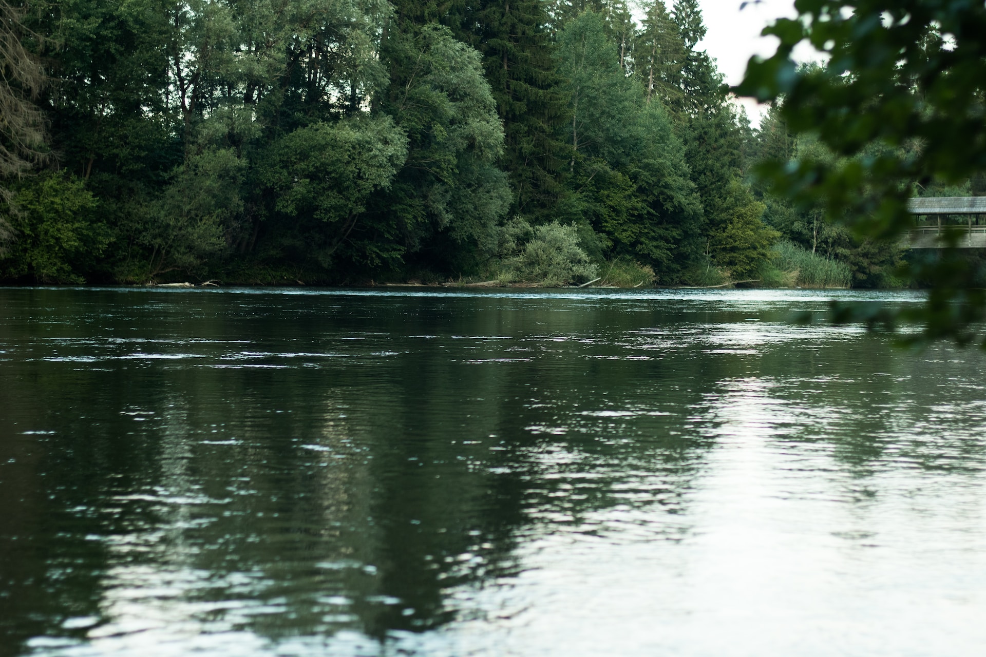 Letter of Map – Walker & Associates